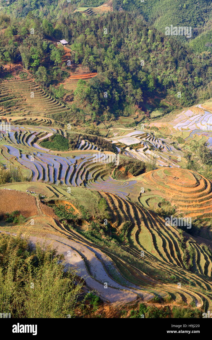 Landscape rice terrace field philippines hi-res stock photography and ...
