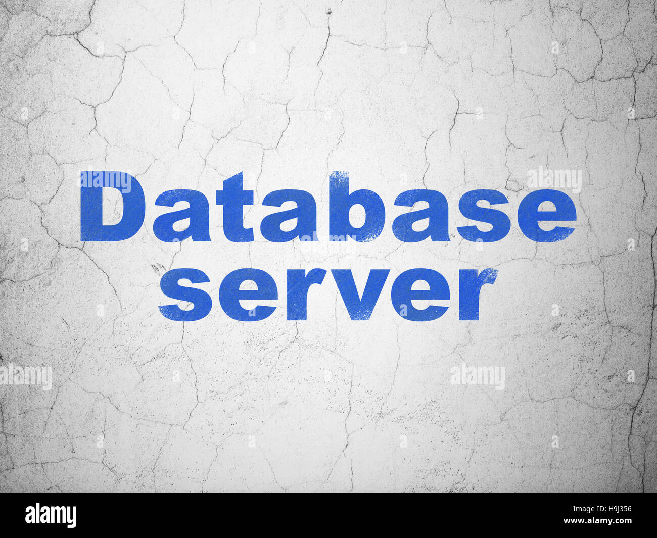 Software concept: Database Server on wall background Stock Photo - Alamy