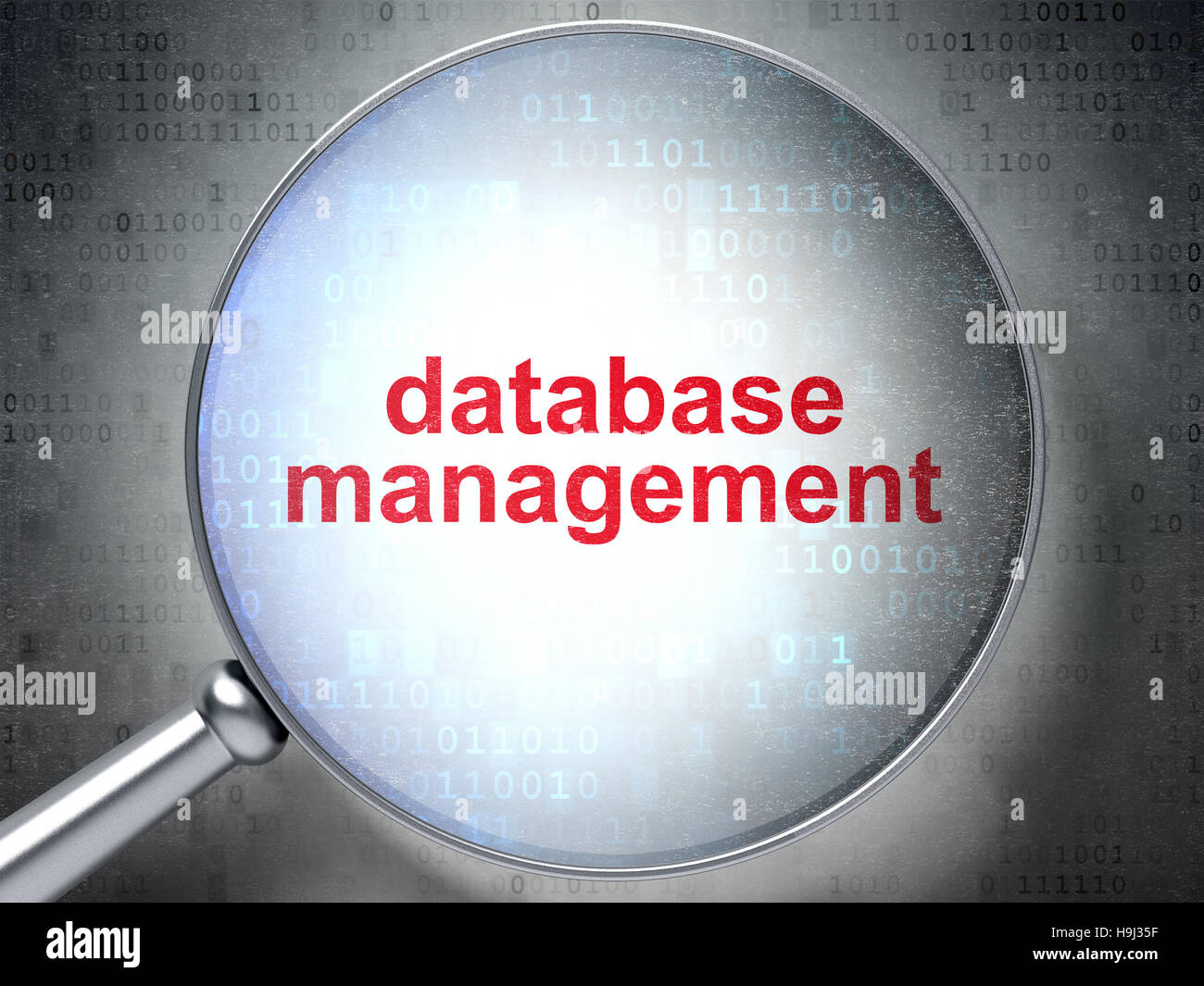 Programming concept: Database Management with optical glass Stock Photo - Alamy