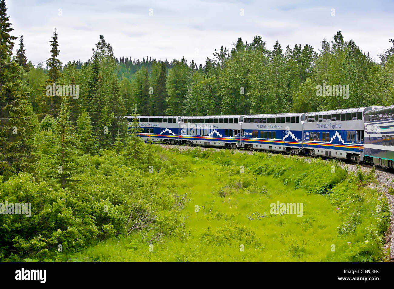 McKinley Explorer train from Fairbanks to Anchorage, AK in Denali ...
