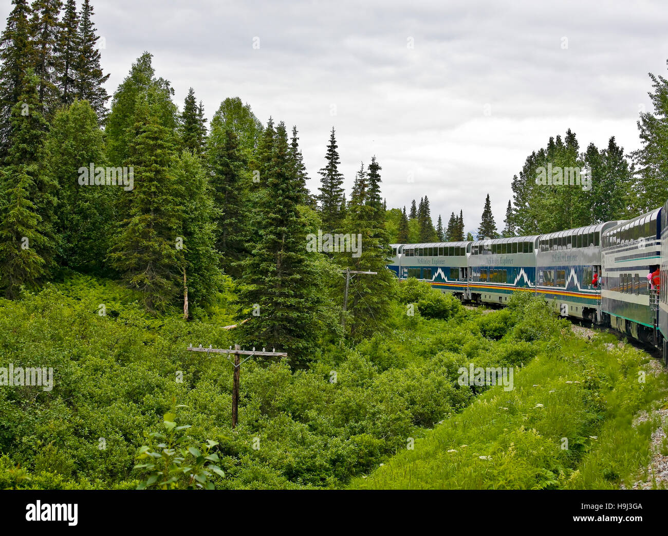McKinley Explorer train from Fairbanks to Anchorage, AK in Denali ...