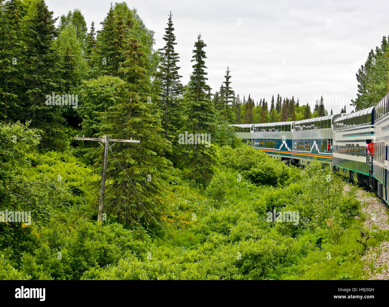 McKinley Explorer train from Fairbanks to Anchorage, AK in Denali ...