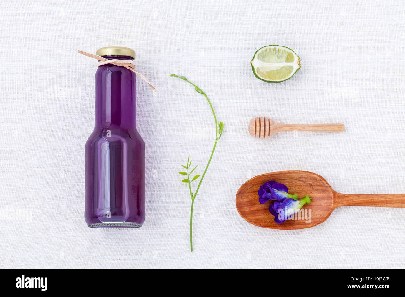 pigeon wing pea healthy drinking water on white table Stock Photo - Alamy