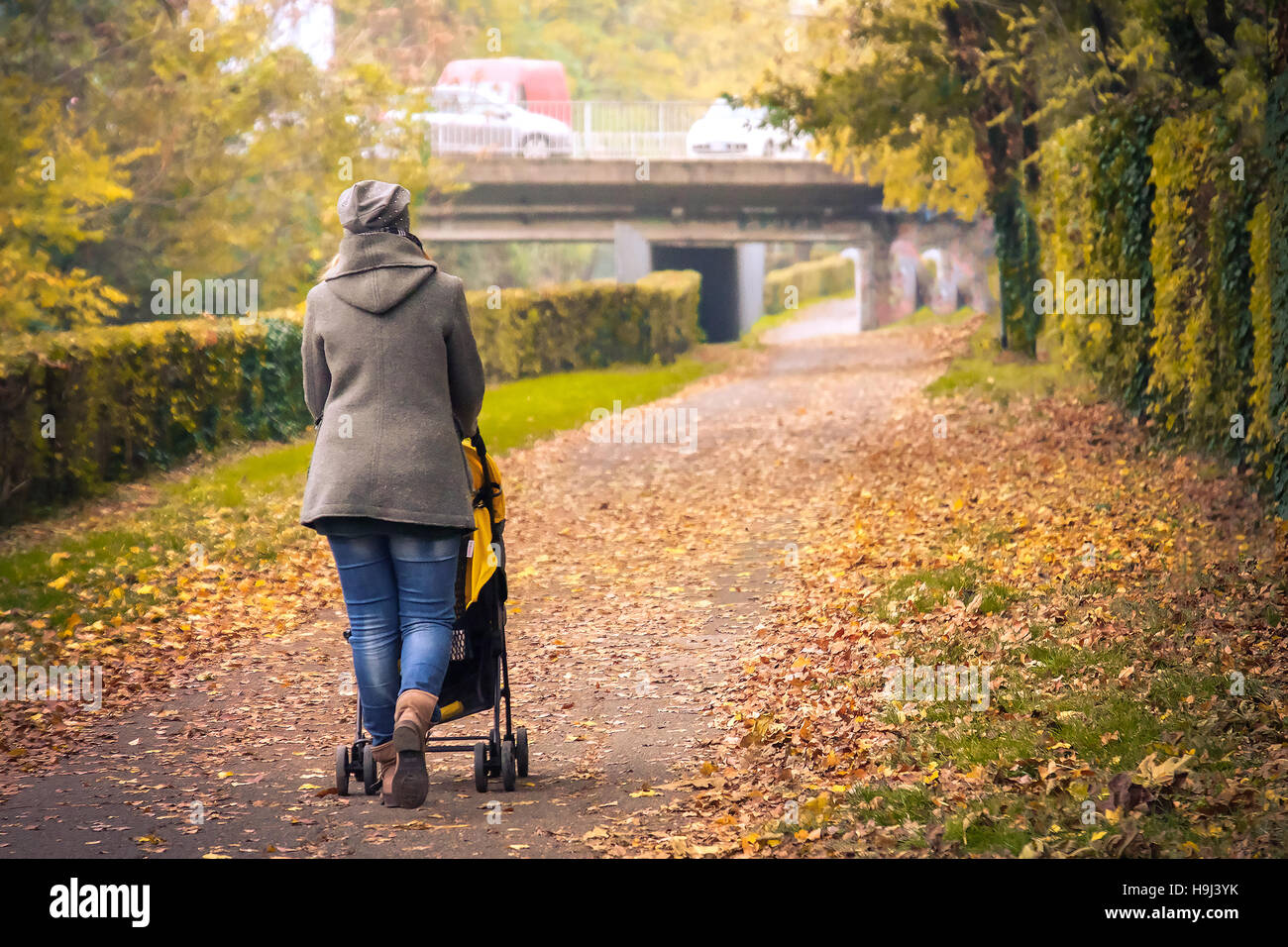 Mother walk stroller back tree lined avenue city park autumn Stock ...