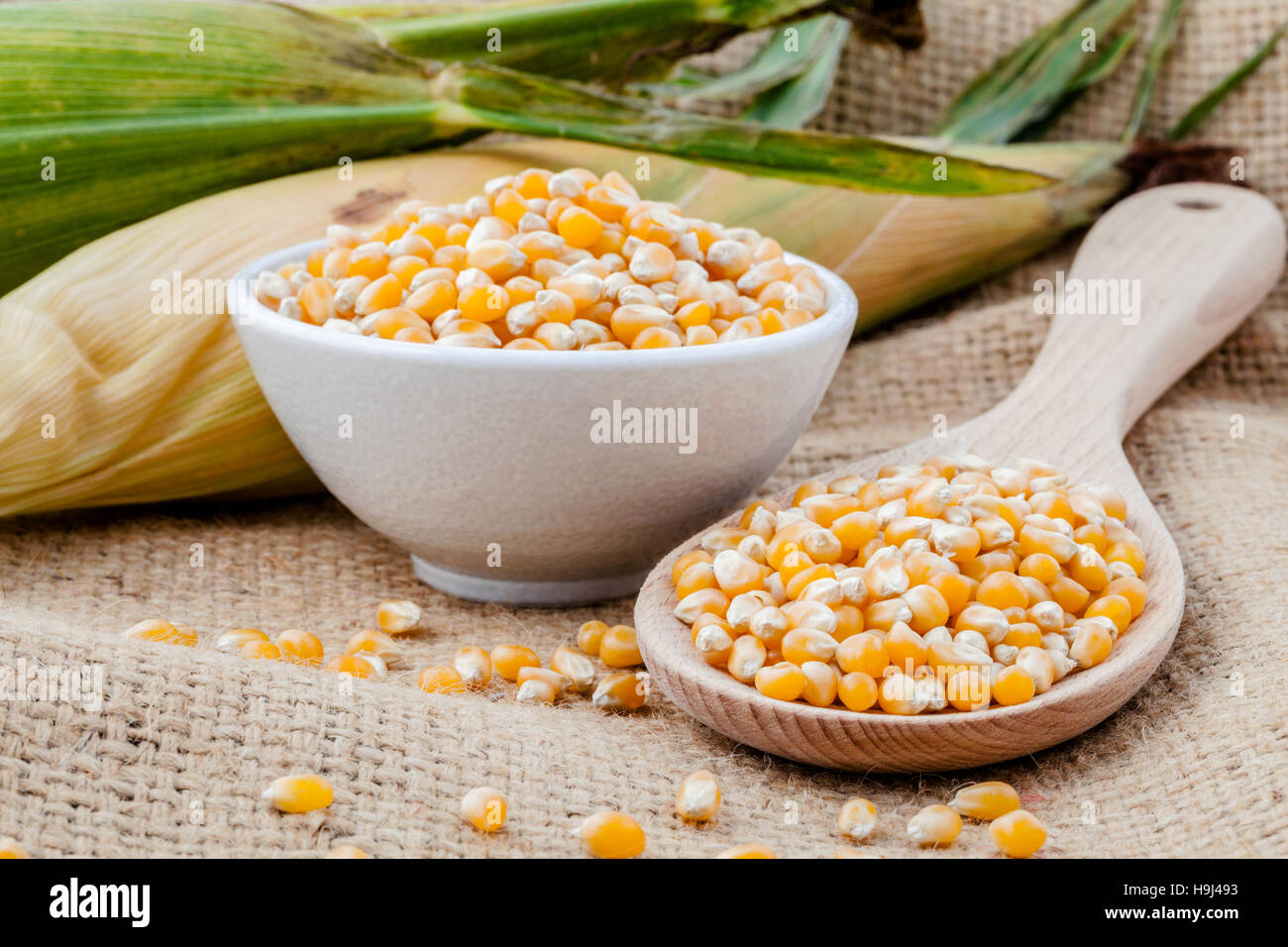 Dried corn grains hi-res stock photography and images - Alamy