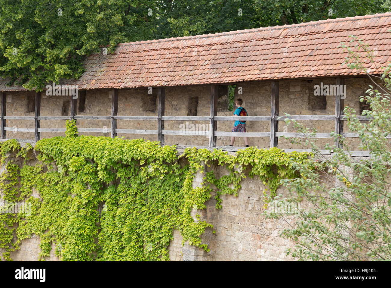 parapet walk, town wall, Rothenburg ob der Tauber, Central Franconia ...