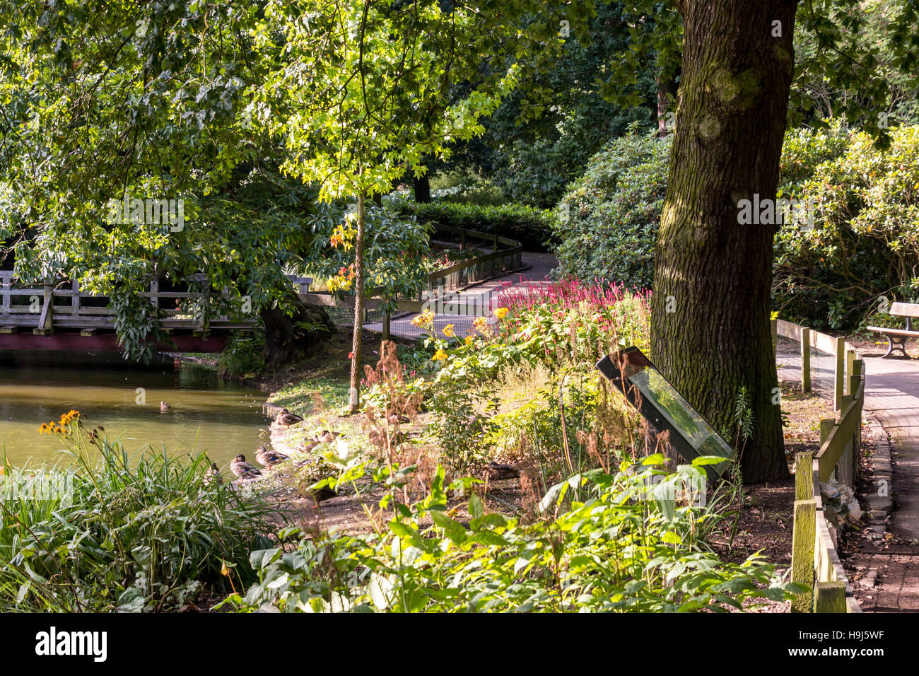 Temple newsam park leeds hi-res stock photography and images - Alamy