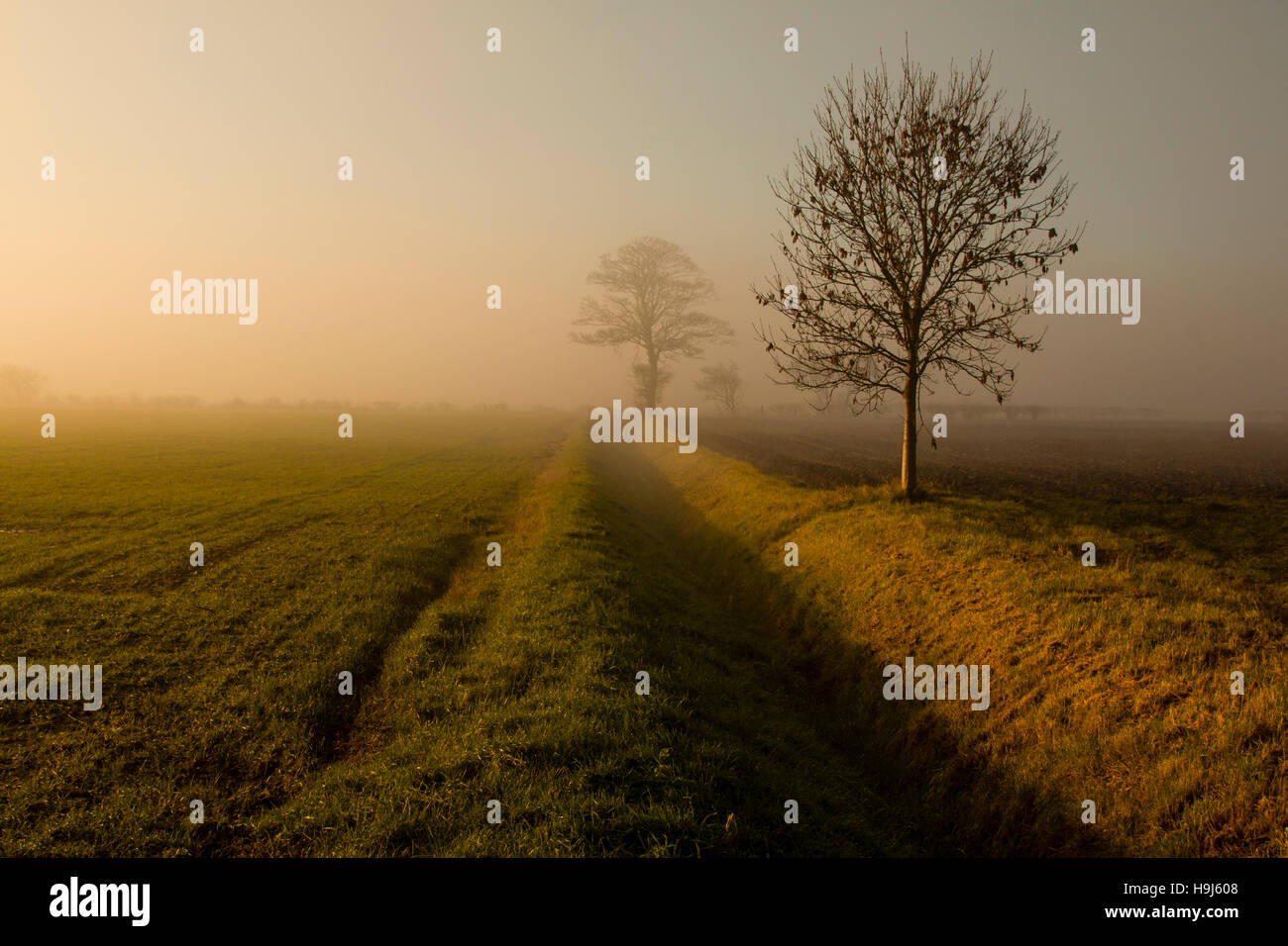 Friskney hi-res stock photography and images - Alamy