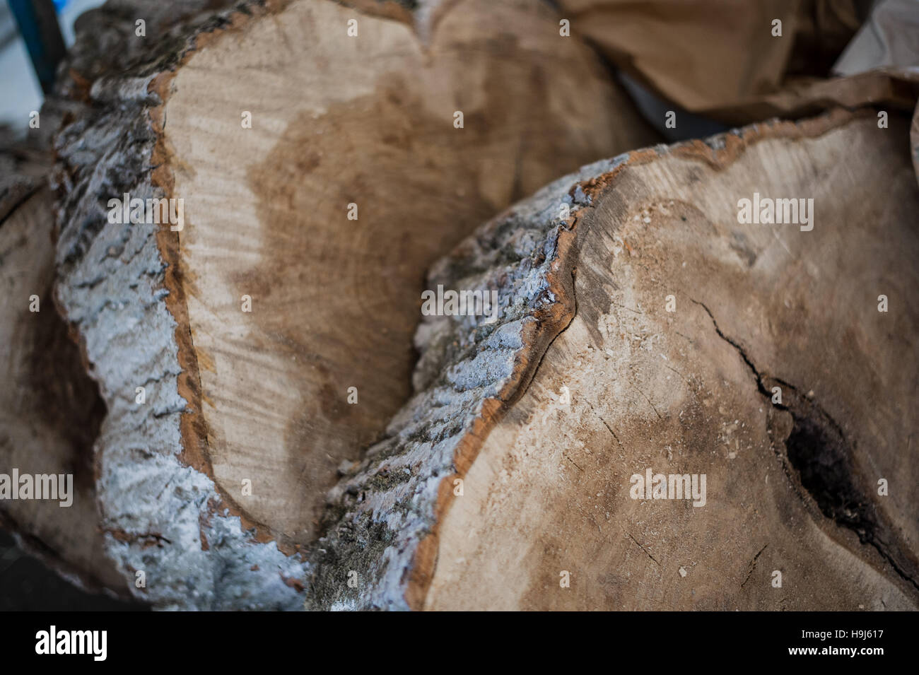 Trunk pieces hi-res stock photography and images - Alamy