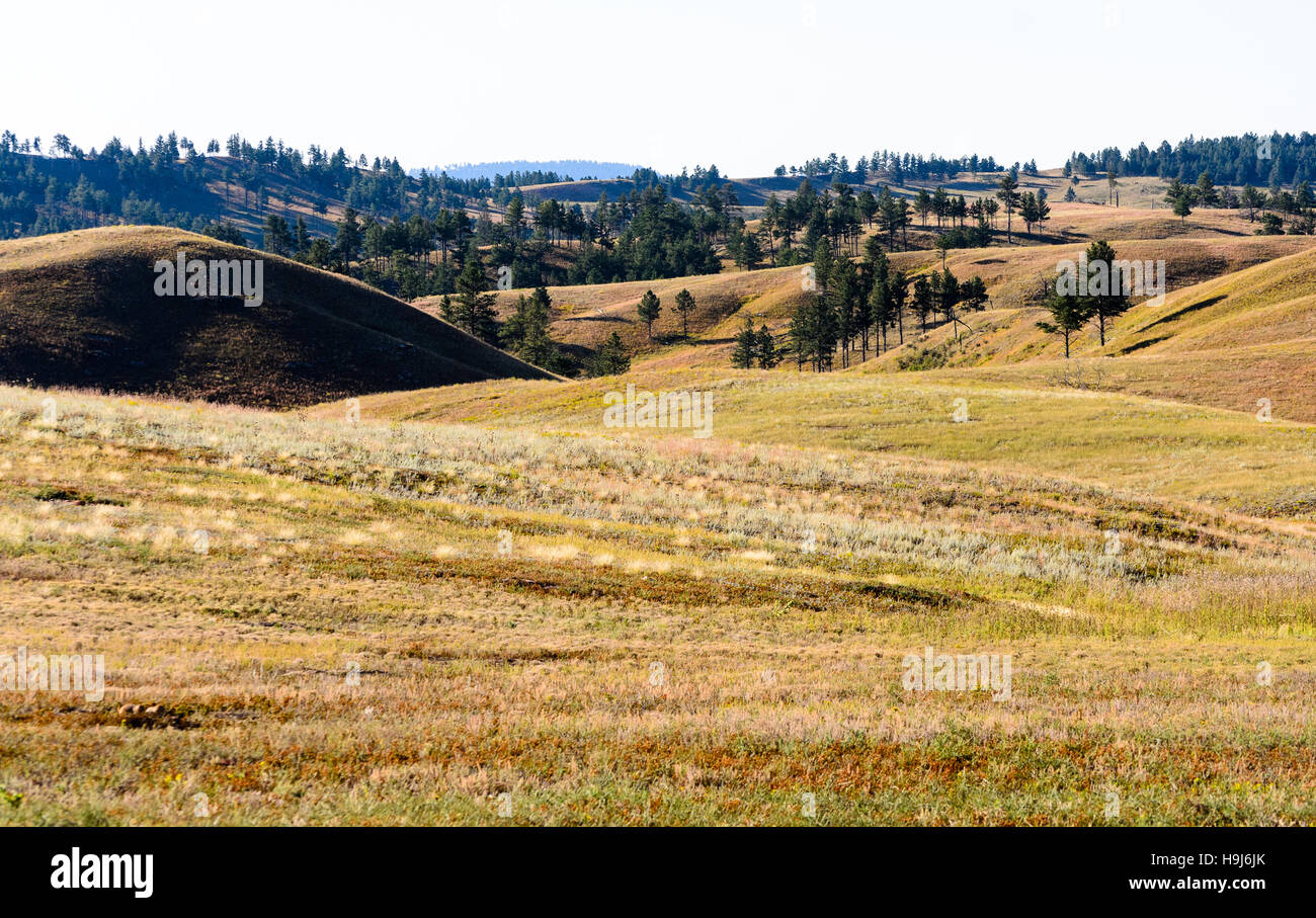Wind cave national park hi-res stock photography and images - Alamy