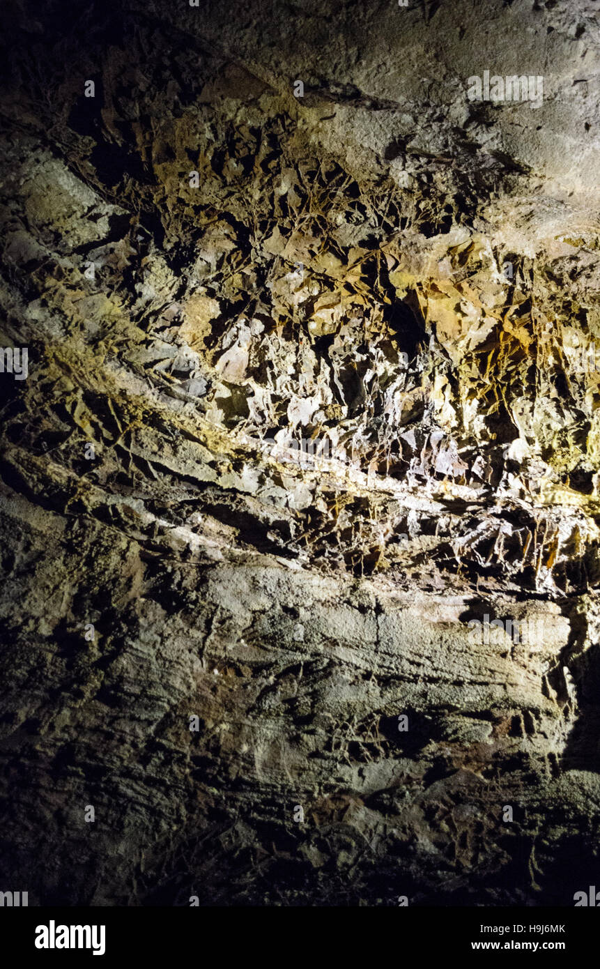 Wind Cave National Park Stock Photo - Alamy