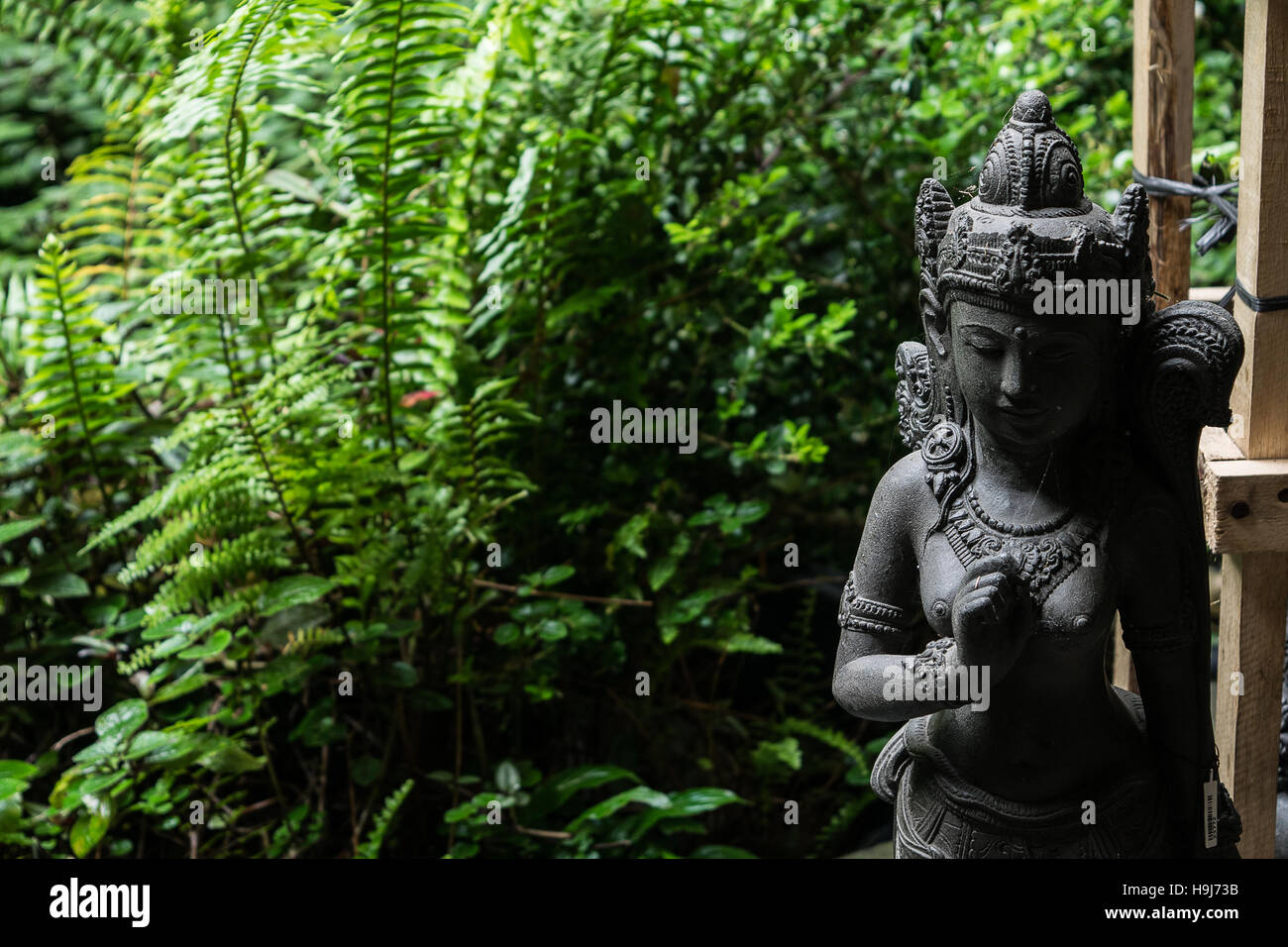 Small statue by some plants Stock Photo - Alamy