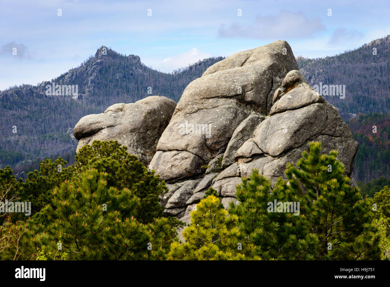 Northern black hills hi-res stock photography and images - Alamy