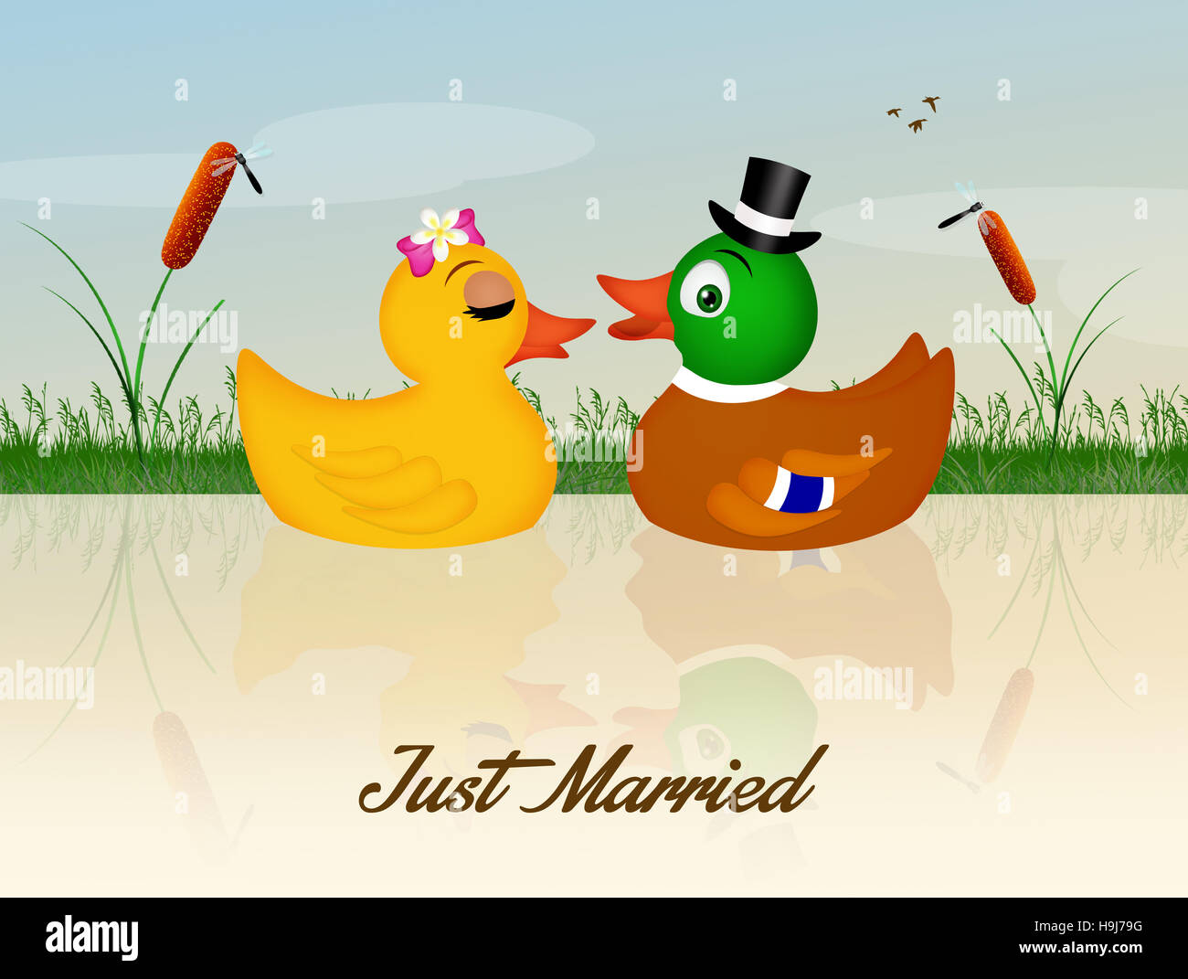 Ducks Getting Married