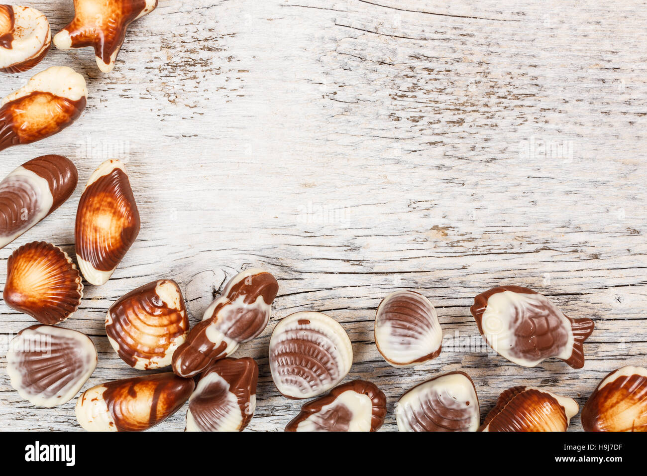 Chocolate seashell candies Stock Photo - Alamy