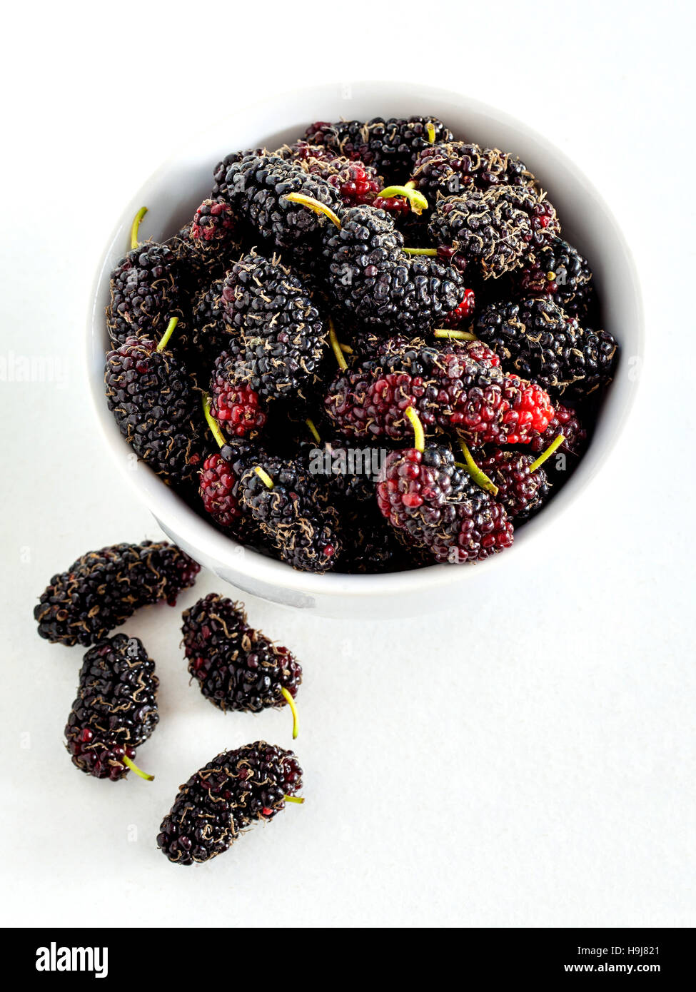 Mulberry berries white black hi-res stock photography and images - Alamy