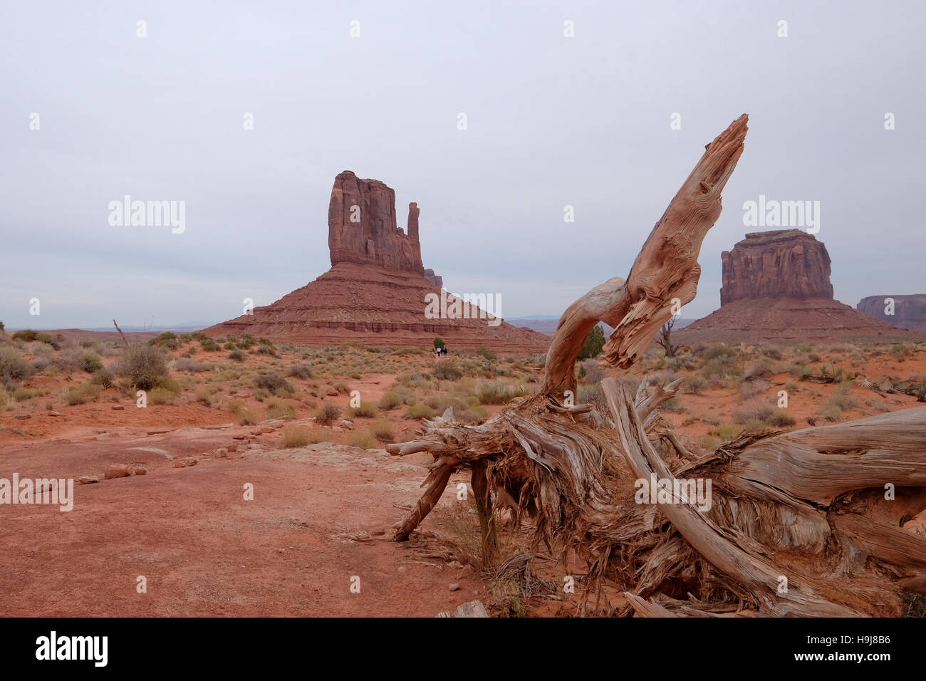 Monument Valley Park Stock Photo - Alamy