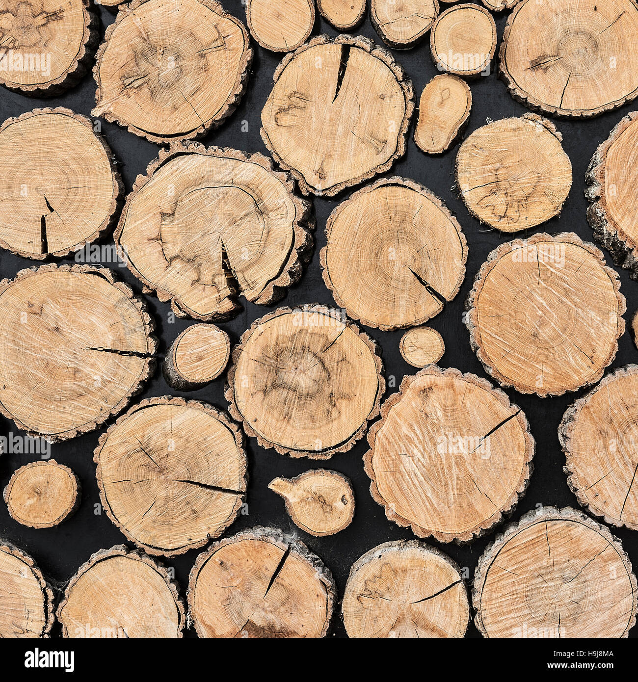 Tree stumps background Stock Photo - Alamy