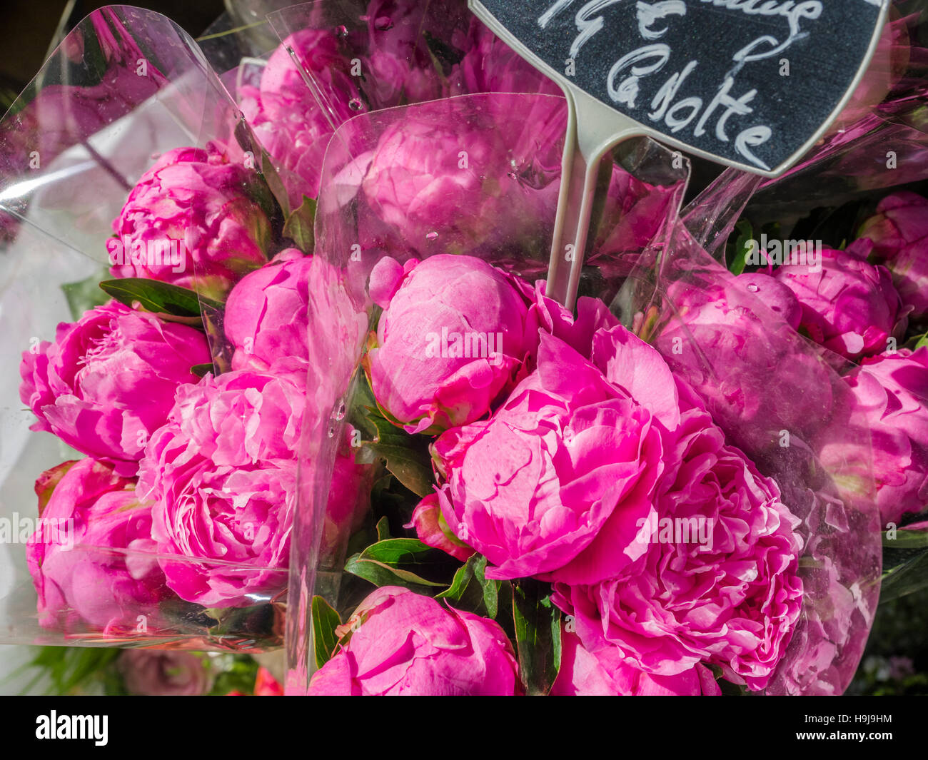 Street flower shop in Paris, France Stock Photo - Alamy