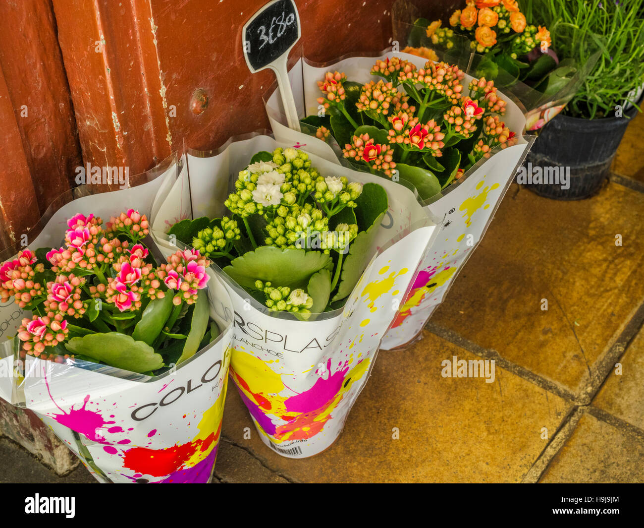 Street flower shop in Paris, France Stock Photo - Alamy