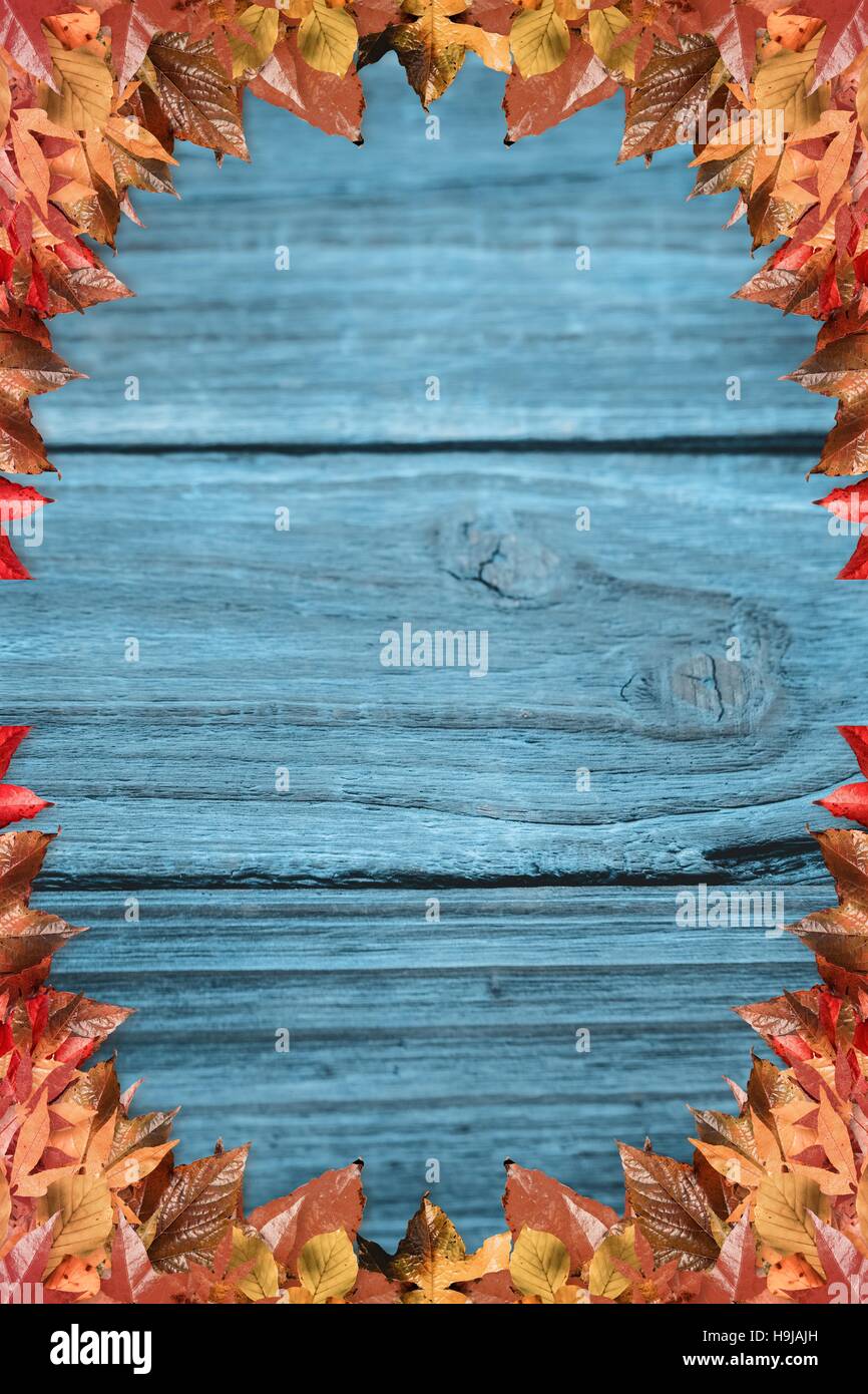 Autumn leaves pattern Stock Photo - Alamy