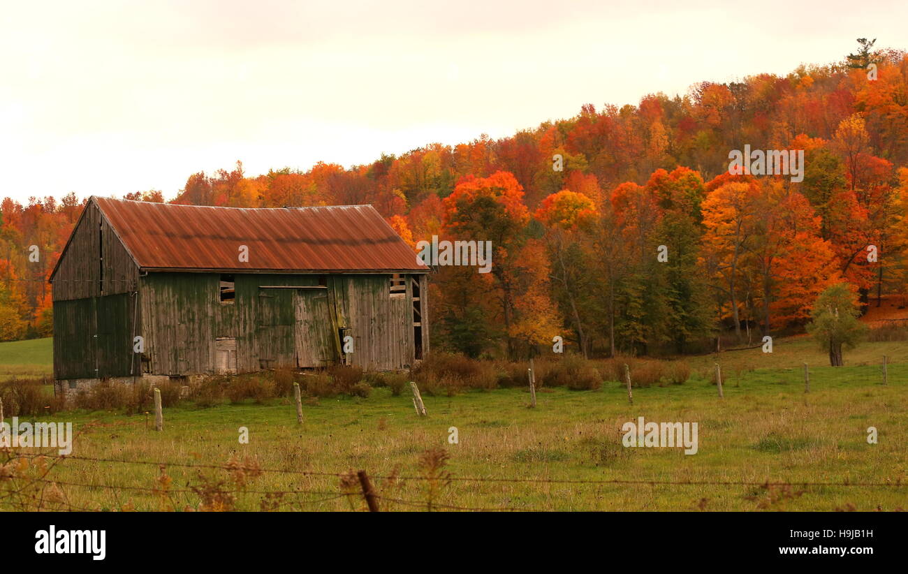 Barn and Fall Colors Stock Photo - Alamy