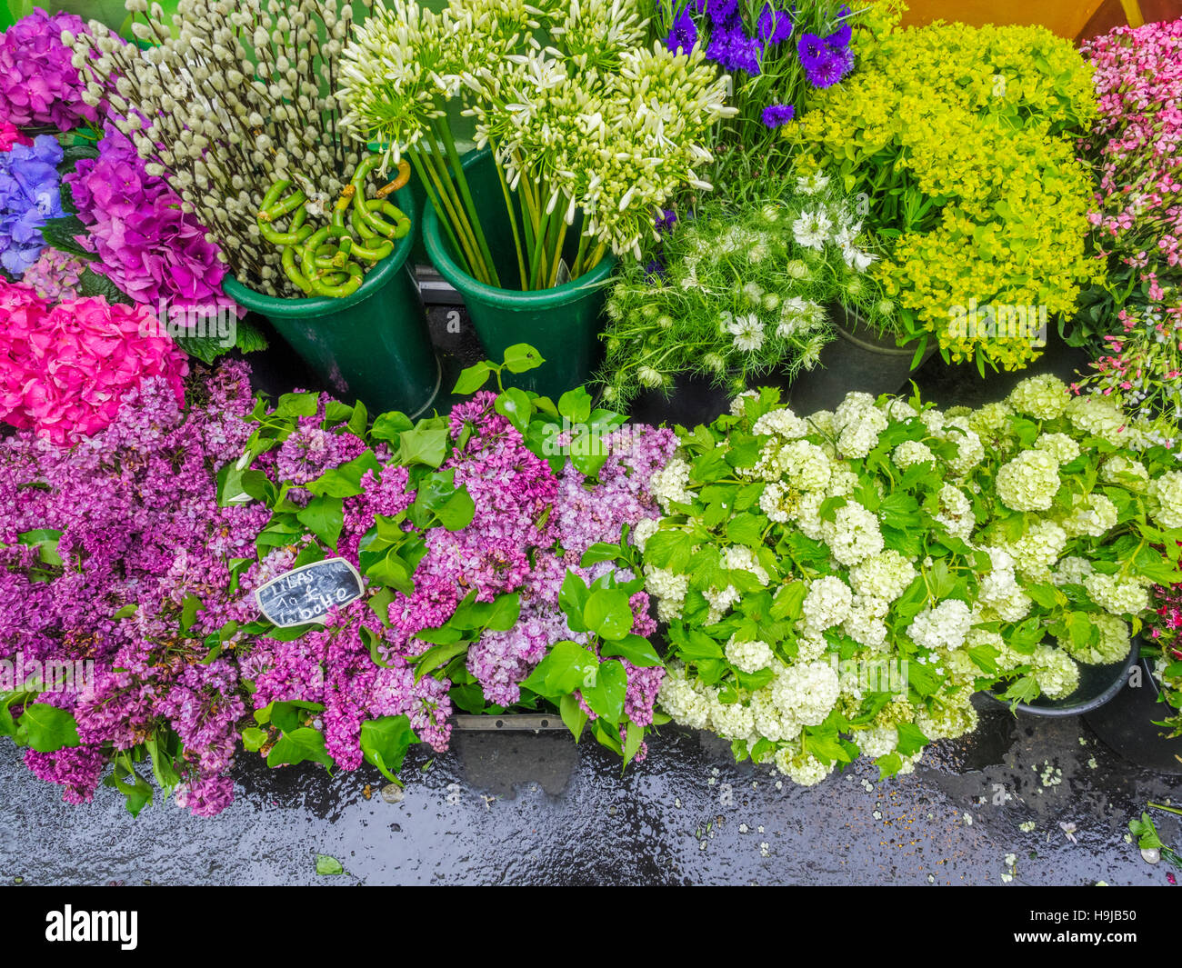 Street flower shop in Paris, France Stock Photo - Alamy