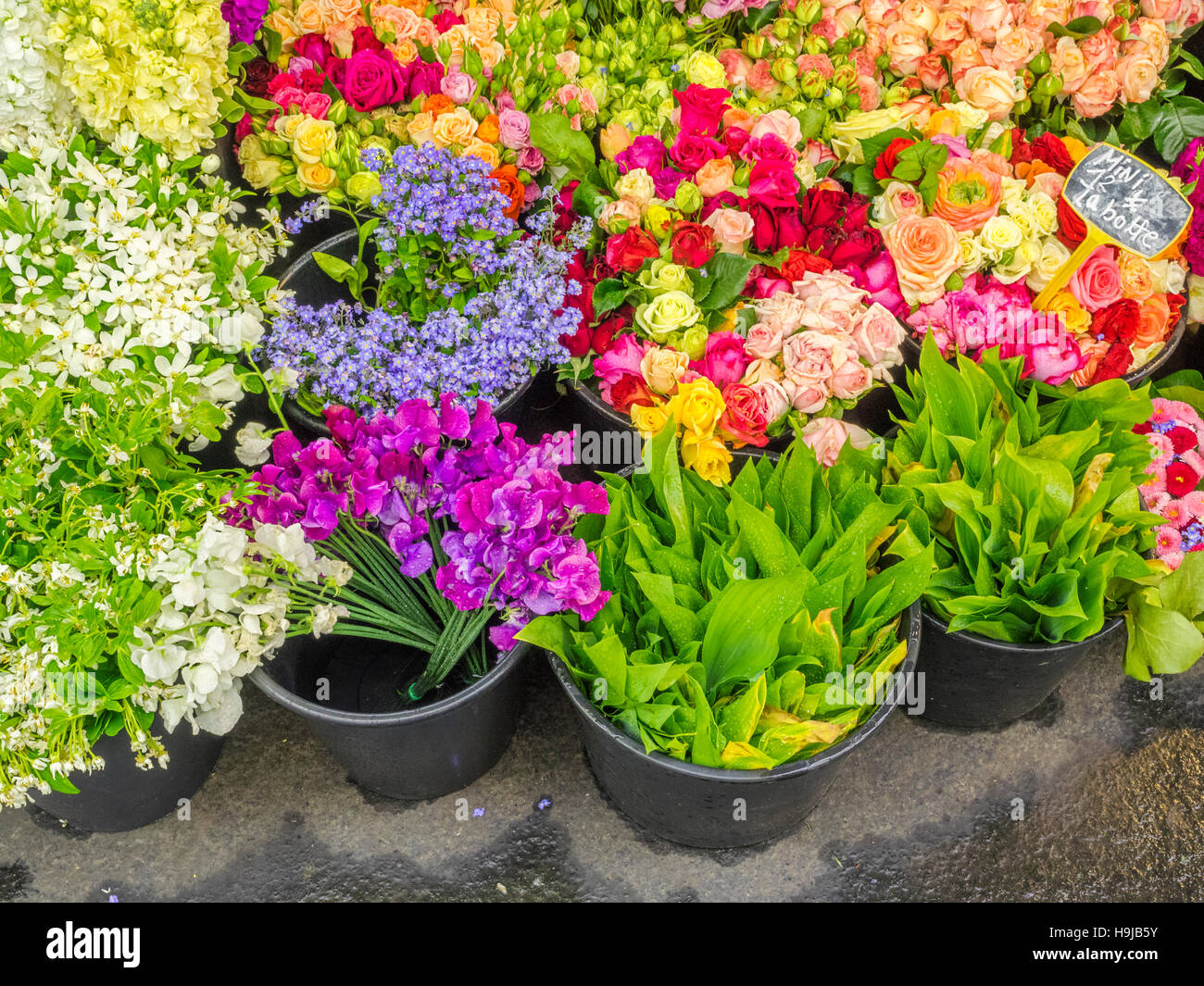 Street flower shop in Paris, France Stock Photo - Alamy