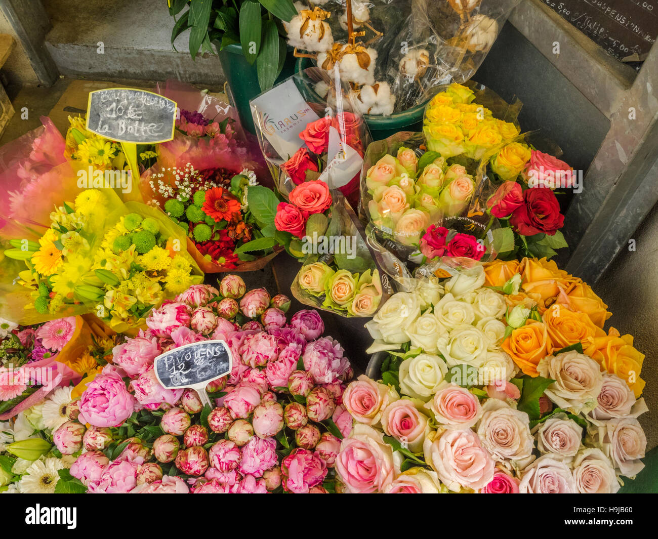 Street flower shop in Paris, France Stock Photo - Alamy