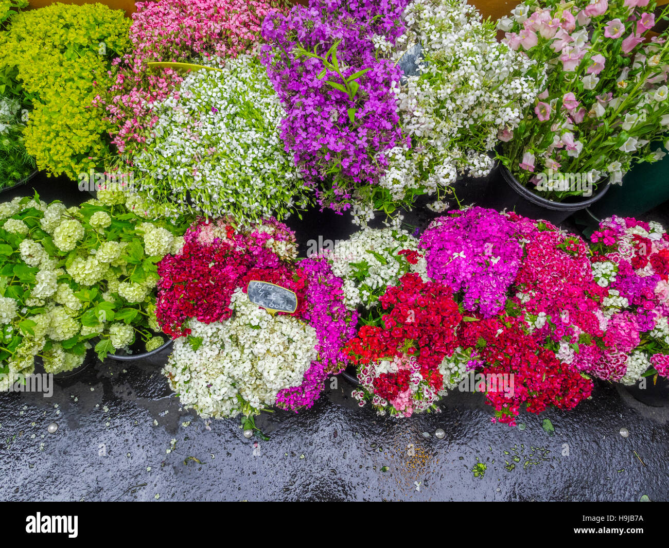 Street flower shop in Paris, France Stock Photo - Alamy