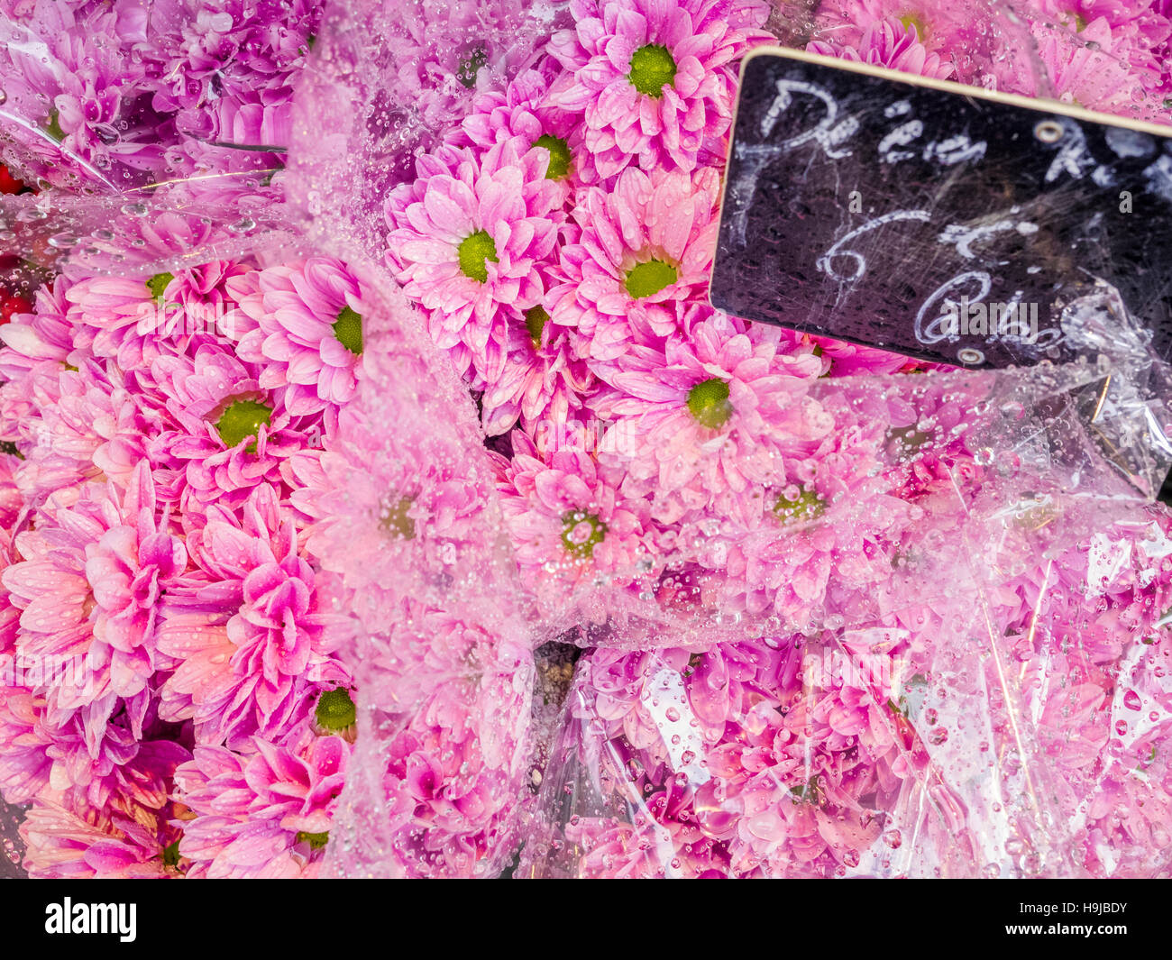 Street flower shop in Paris, France Stock Photo - Alamy