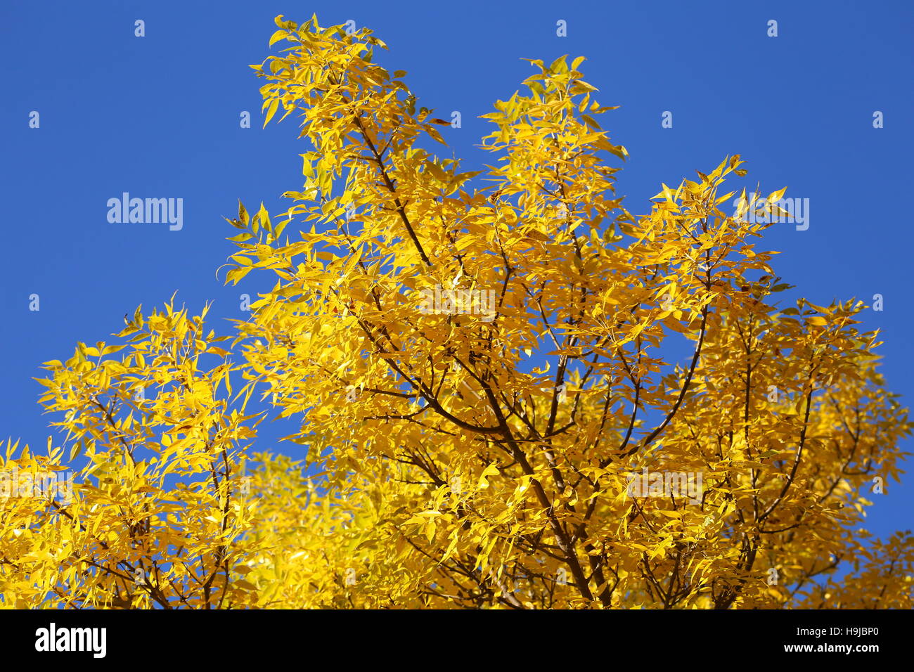 Two tone sky hi-res stock photography and images - Alamy