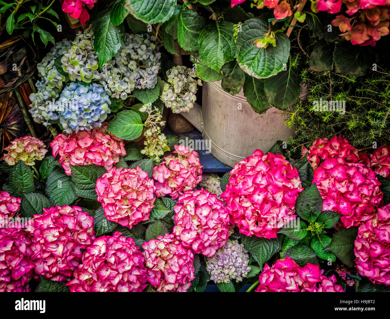 Street flower shop in Paris, France Stock Photo - Alamy