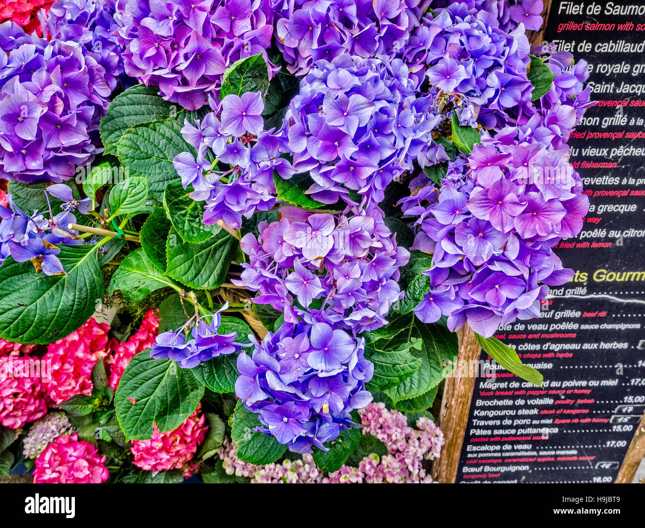 Street flower shop in Paris, France Stock Photo - Alamy