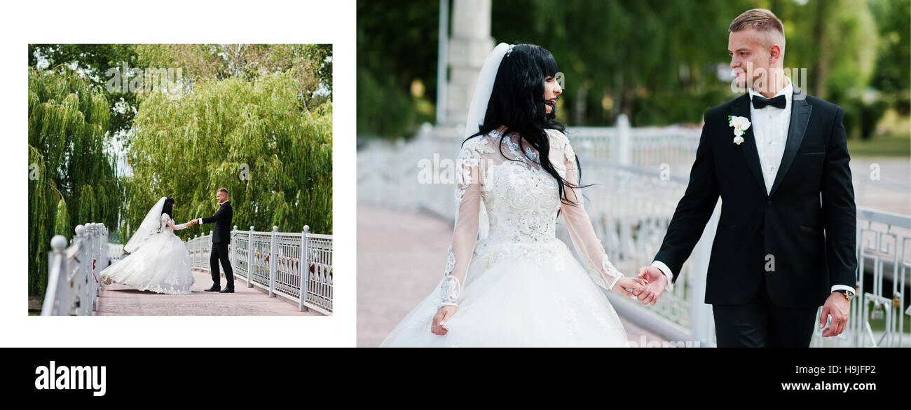 Dual pages of photo book elegance wedding couple. Wide wedding photo in ...