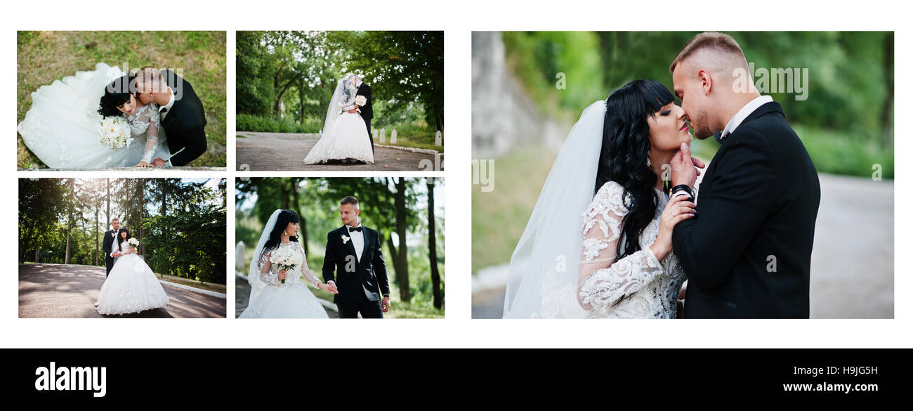 Dual pages of photo book elegance wedding couple. Wide wedding photo in ...