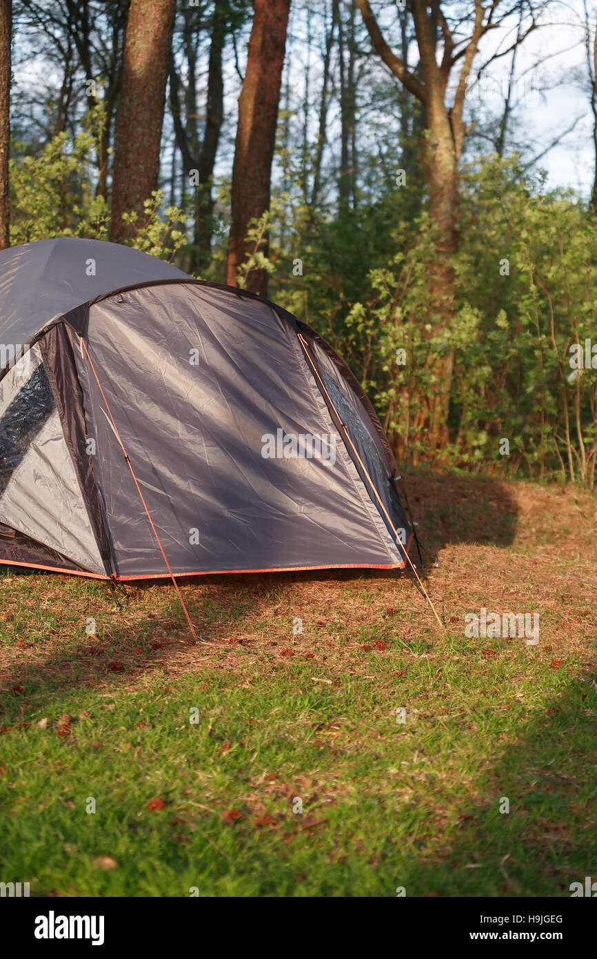 Modern gray closed tent on clearing in the forest Stock Photo - Alamy