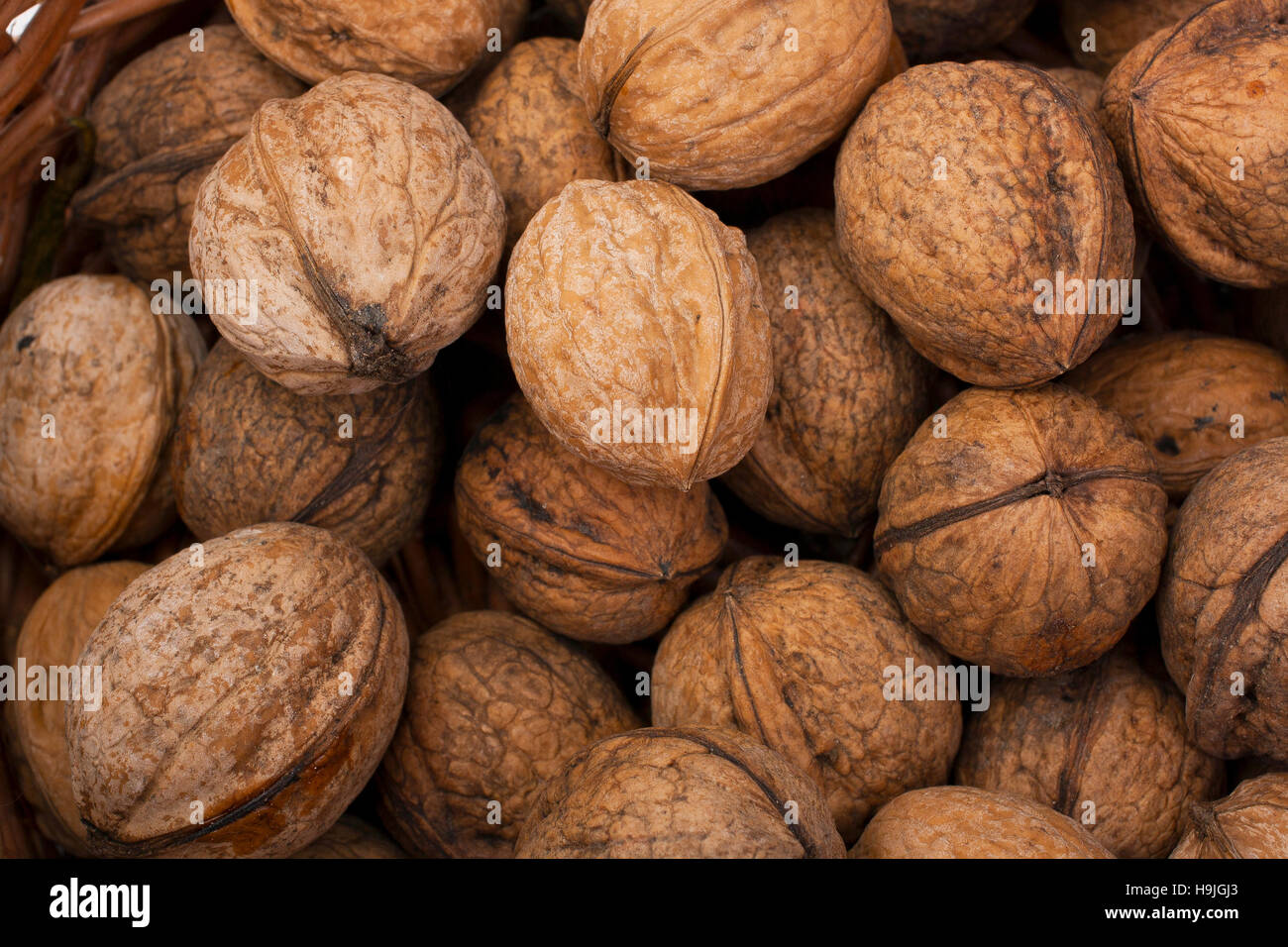 Walnuts on white background. Walnut texture.Background, brown ...