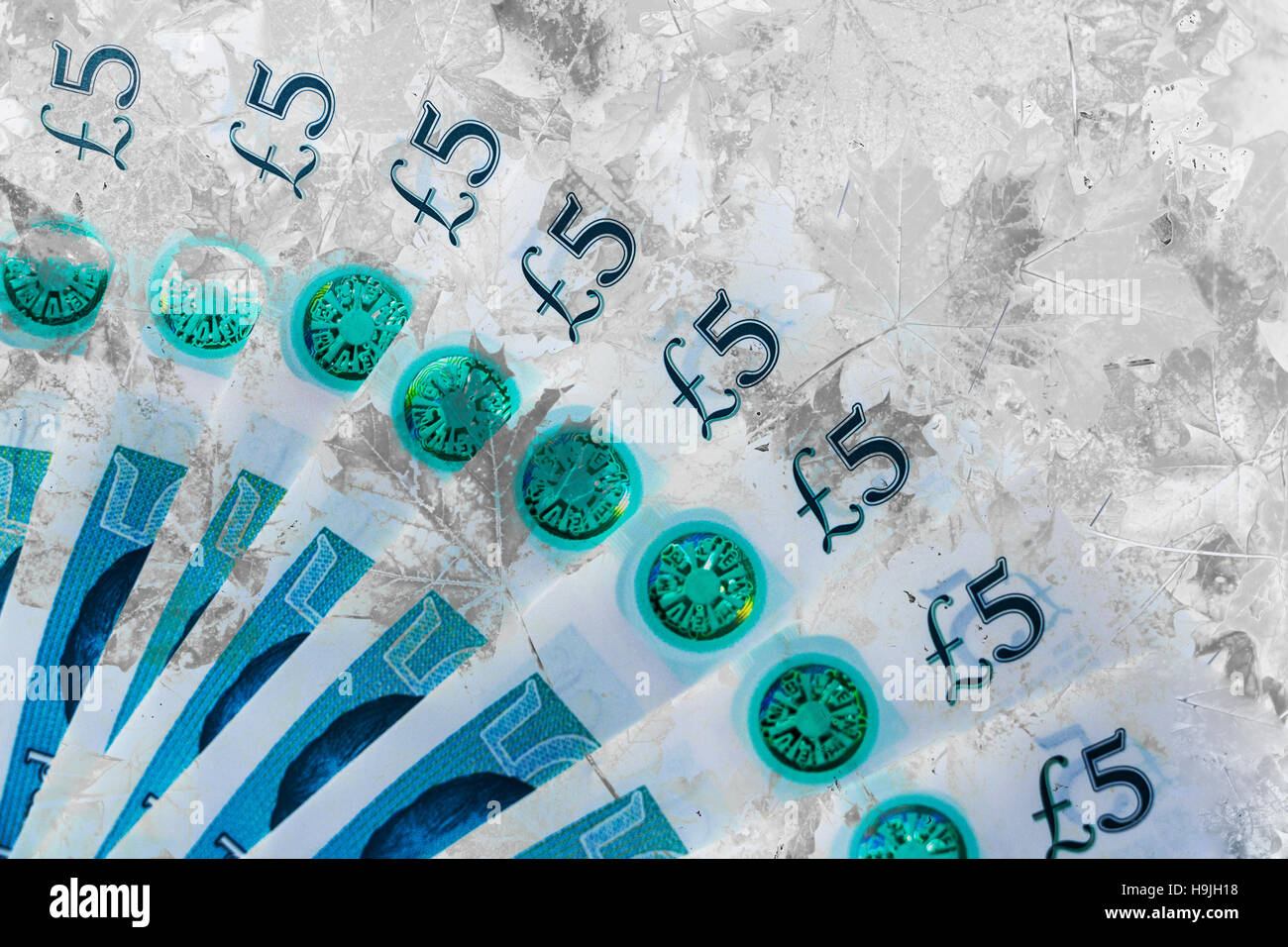 Five pound notes arranged in a fan shape with grungy Mono leaf ...