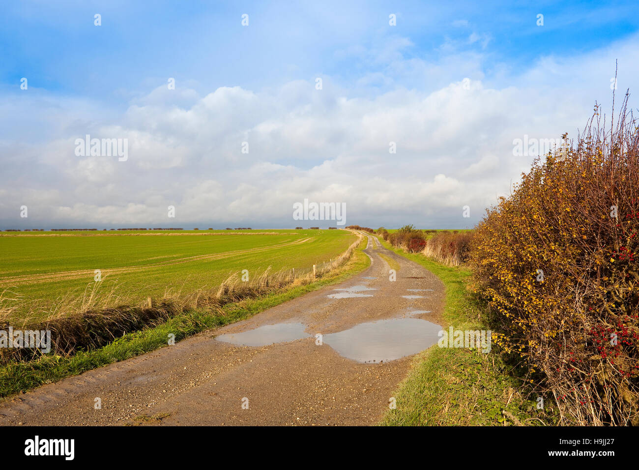 Wet farm track hi-res stock photography and images - Alamy