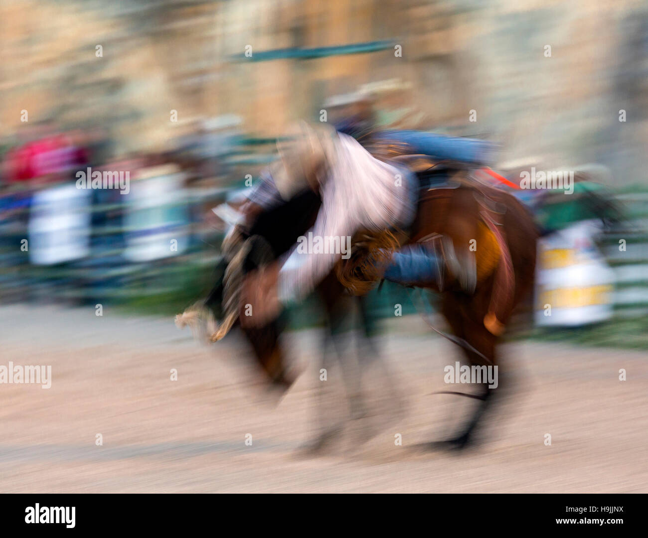 WY01203-00...WYOMING - Bucking bronc rider at the Dubois Friday Night ...