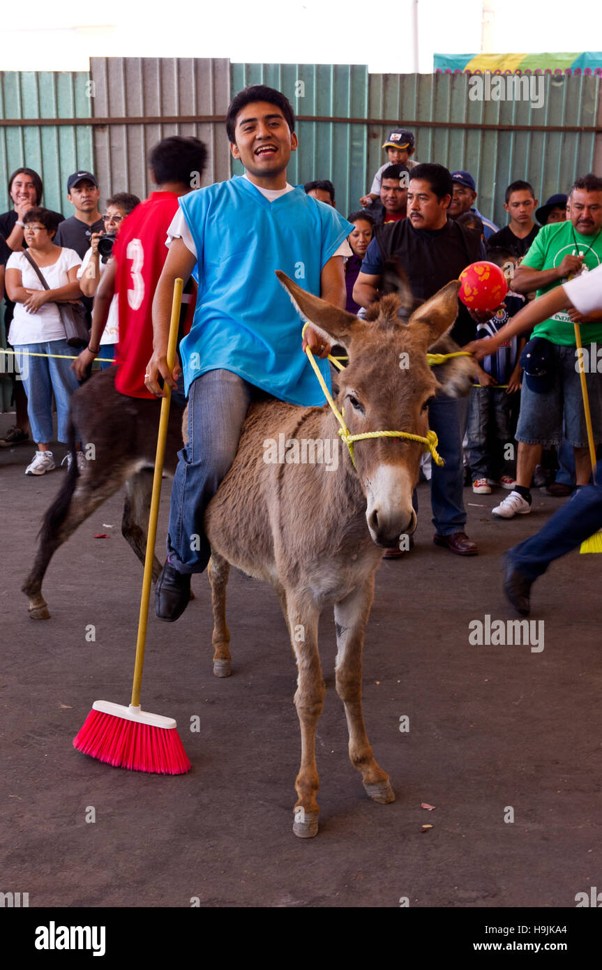 Polo game riding a donkey during the Donkey fair (Feria del burro) in ...