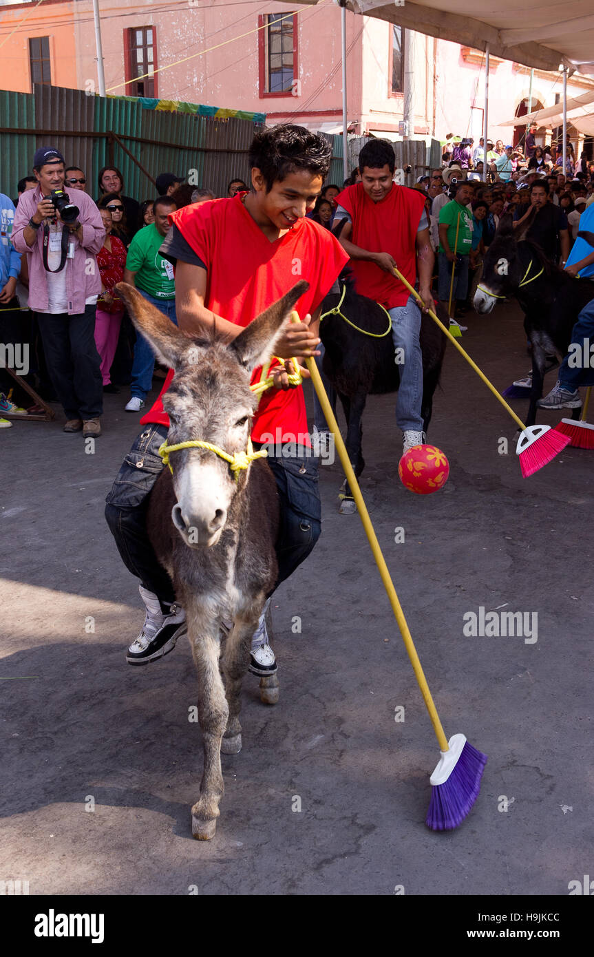 Polo game riding a donkey during the Donkey fair (Feria del burro) in ...