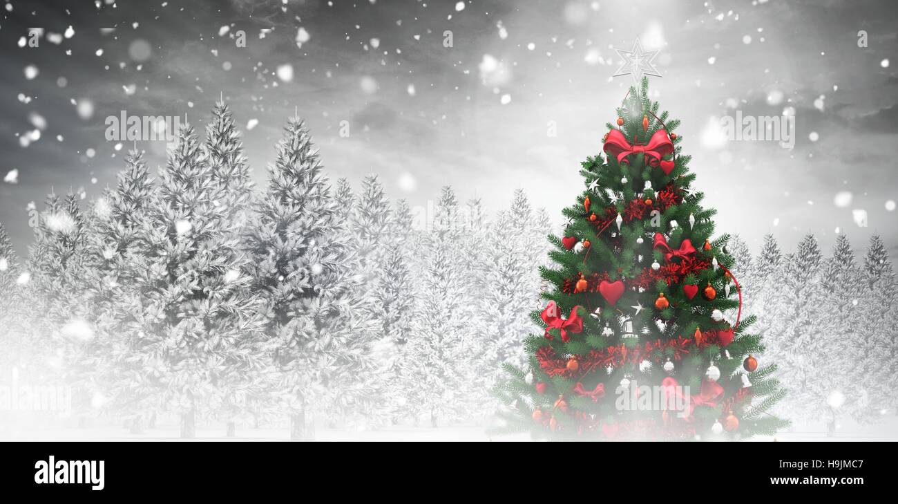 Christmas tree in the forest hi-res stock photography and images - Alamy