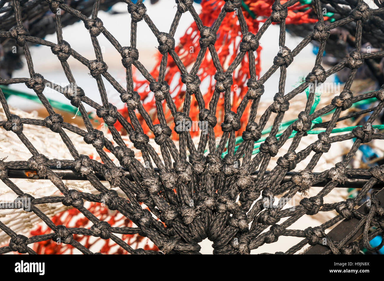 Lobster pot rope hi-res stock photography and images - Alamy