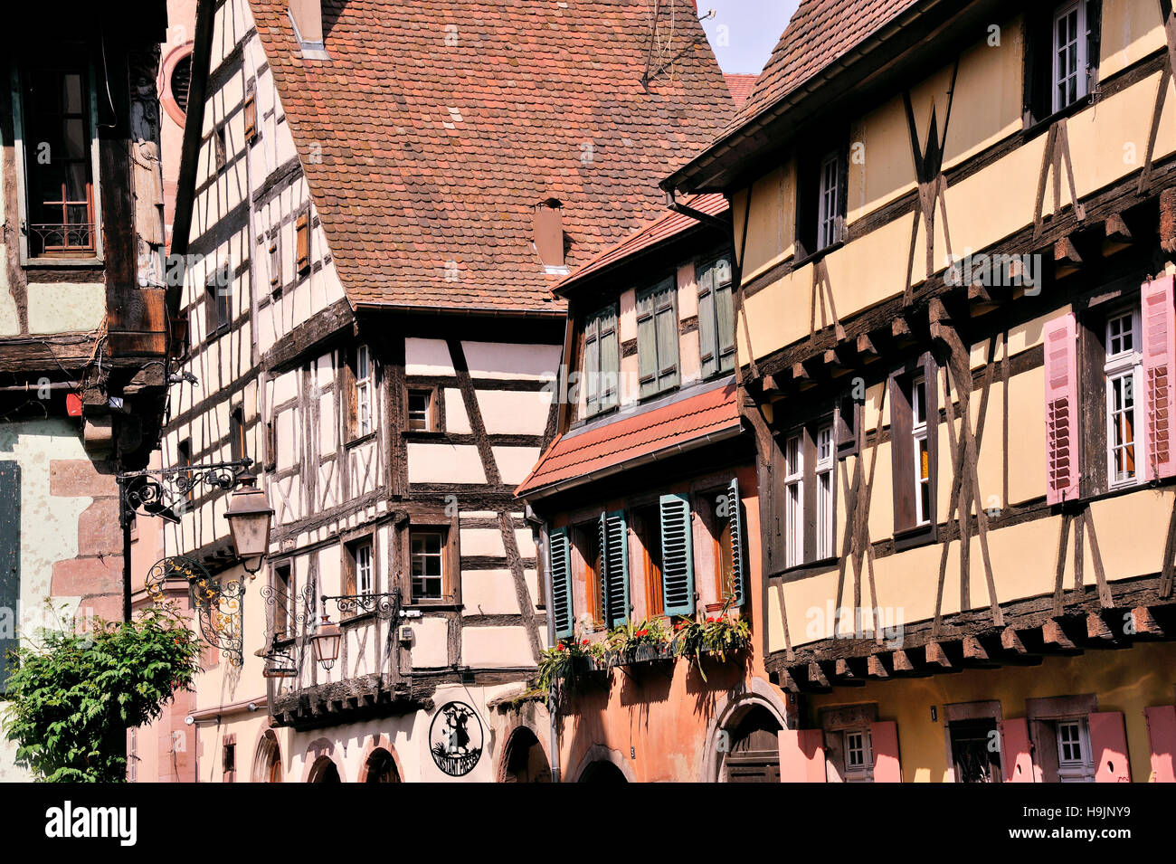 Old picturesque village Riquewihr, village of wine, member of most ...