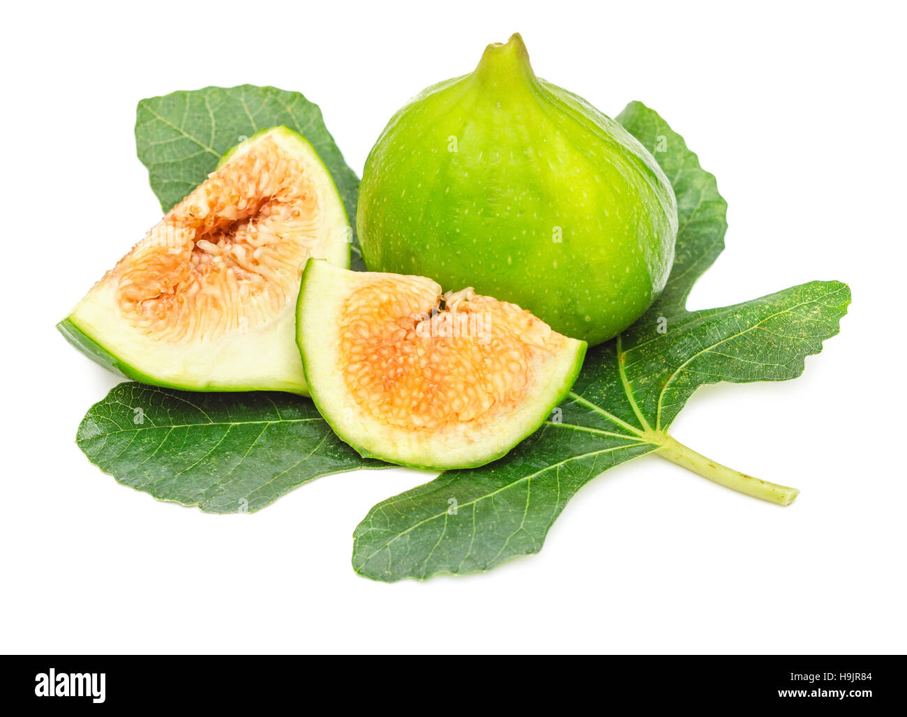 Green fig fruit with leaf isolated on white background Stock Photo - Alamy
