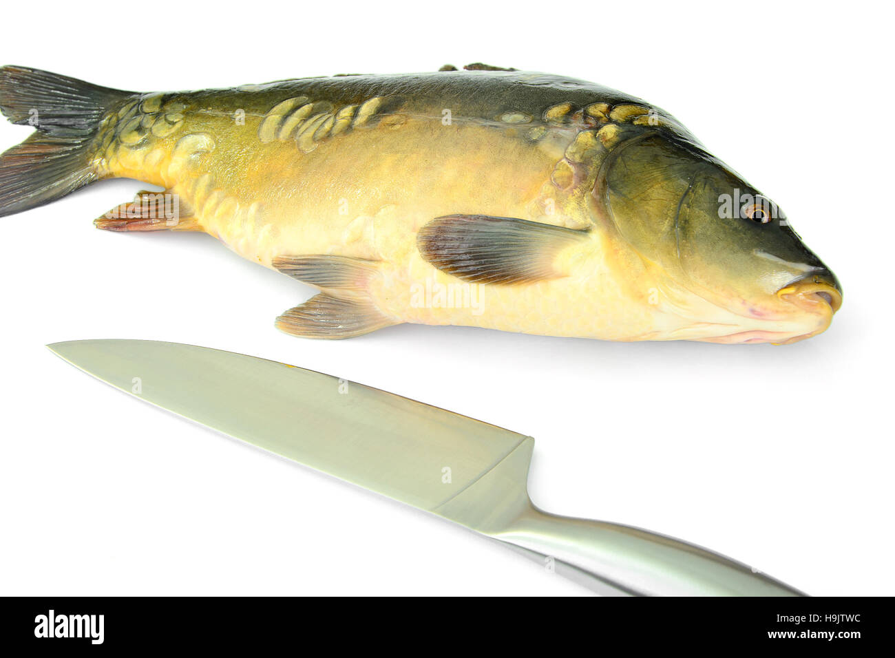 Healthy and Diet Food: Fish Carp. Studio Photo Stock Photo - Alamy