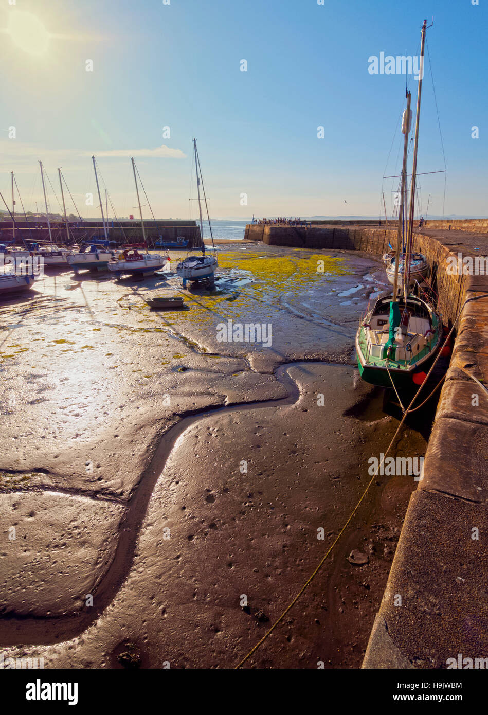 Musselburgh edinburgh hi-res stock photography and images - Alamy