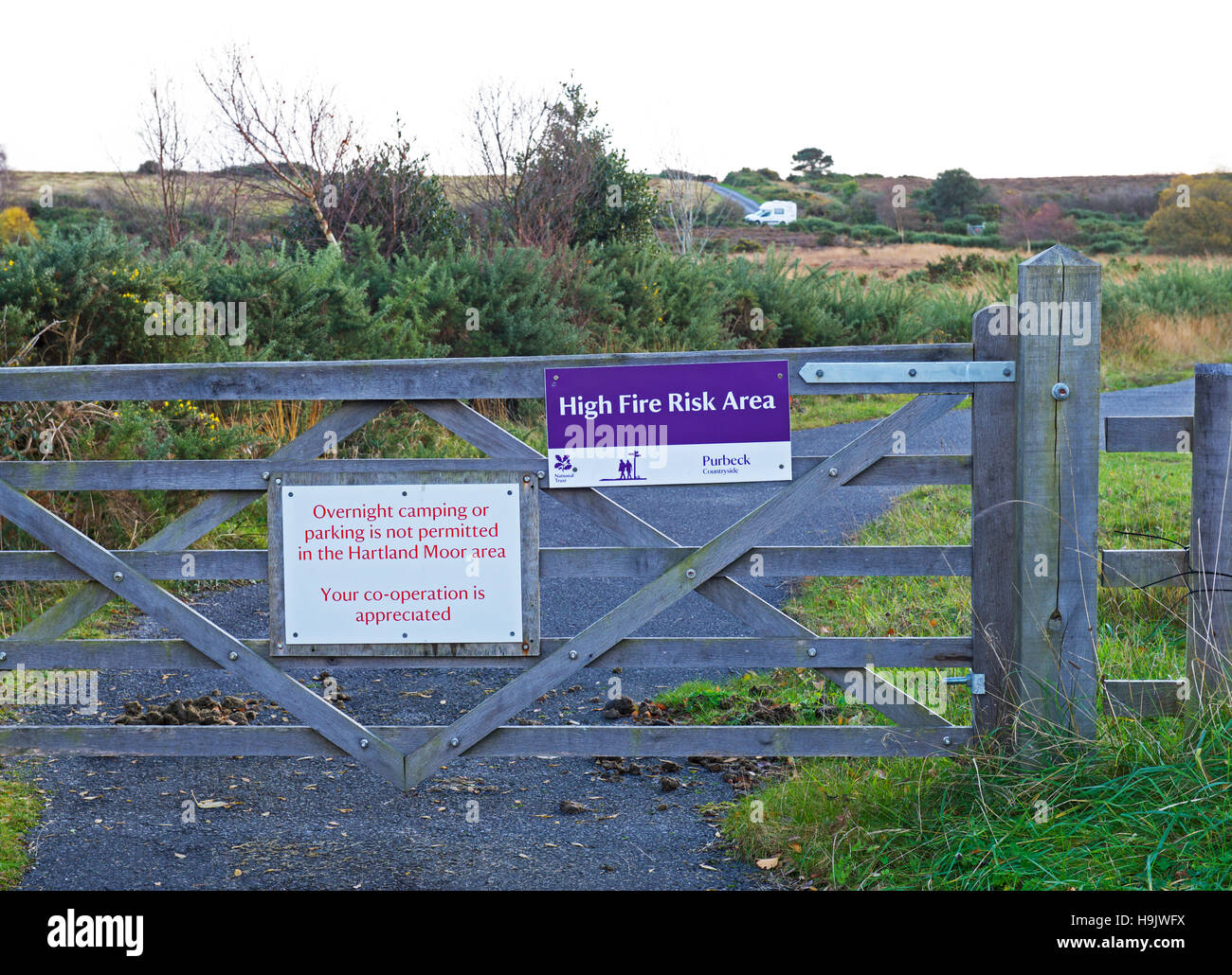 Middlebere hi-res stock photography and images - Alamy